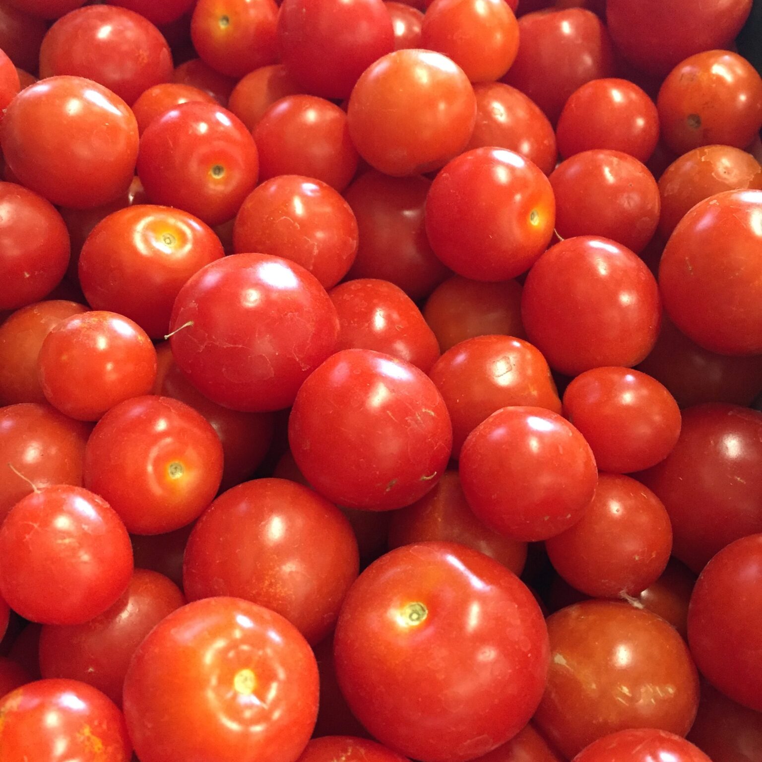 Cherry Tomatoes | TOM'S Farm Market