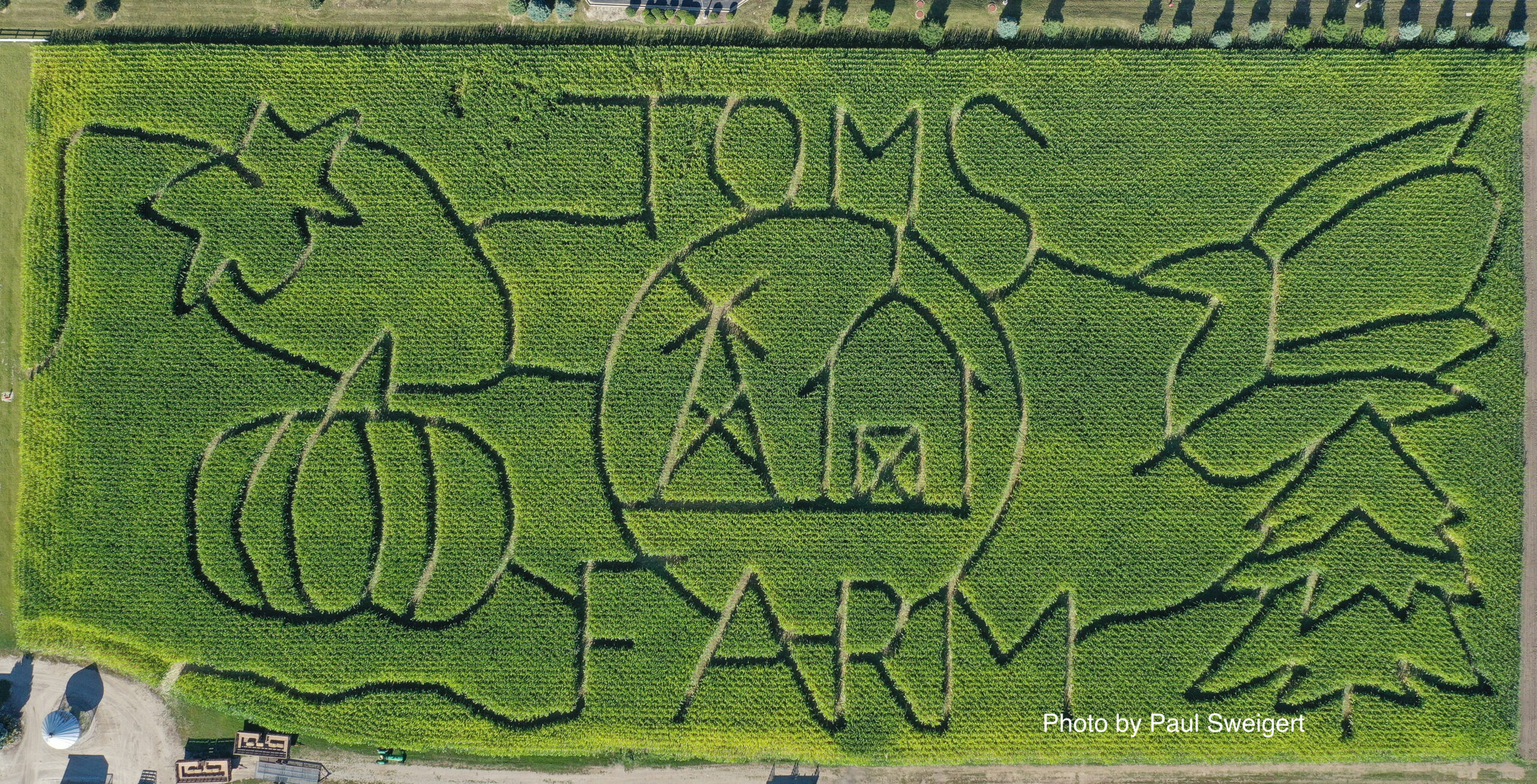 default | TOM'S Farm Market