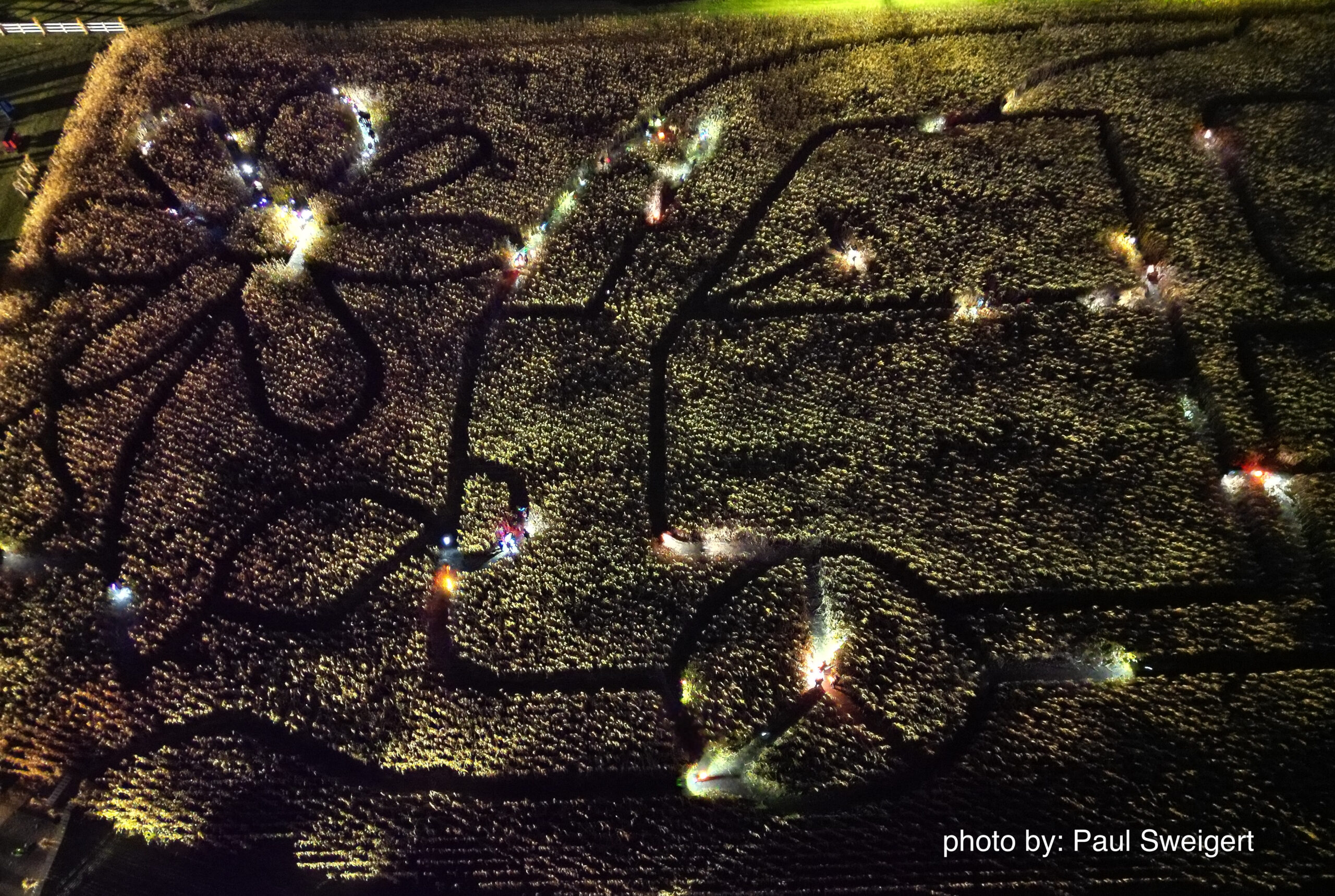 default | TOM'S Farm Market